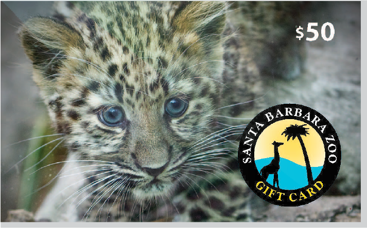 Gift Cards – Shop Santa Barbara Zoo